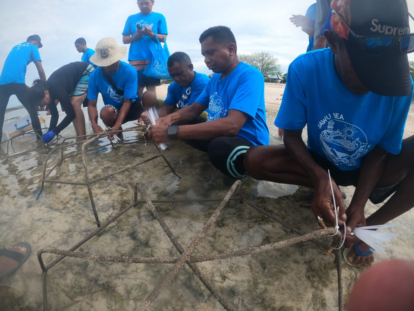 Transplantasi Terumbu Karang, Metode Jaring laba-laba (Web Spider ...